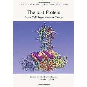The p53 Protein: From Cell Regulation to Cancer (Cold Spring Harbor Perspectives in Medicine)