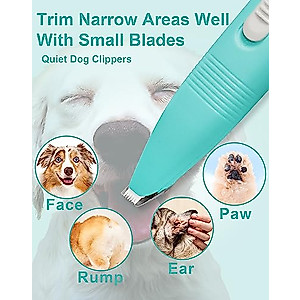 lexflext Dog Grooming Clippers, Dog Paw Trimmer with Detachable Ceramic Blade for Trimming Small Areas of Pet's Hair, Low Noise Paw Grooming Shaver for Cat's Eyes Face Ears Paws (Blue)