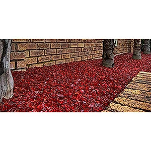 Margo Garden Products 1/4" 10lbs Dragon Glass, 10 lb, Red