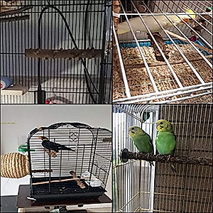 PINVNBY Natural Bird Wood Perch Parakeet Standing Toy Sticks Parrot Paw Grinding Branches Cockatiels Cage Chewable Accessories for Conures Macaws Finches 6 Pack