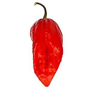 Ghost Pepper Flakes, Pure 16 Oz