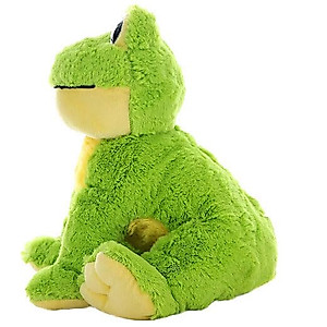 Plush Toys Wonderland I-HOP The Frog - 16 Inch Green Stuffed Animal Soft and Cuddly Plush Toy Adorable Huggable Amphibian Gift for Kids and Frog Lovers