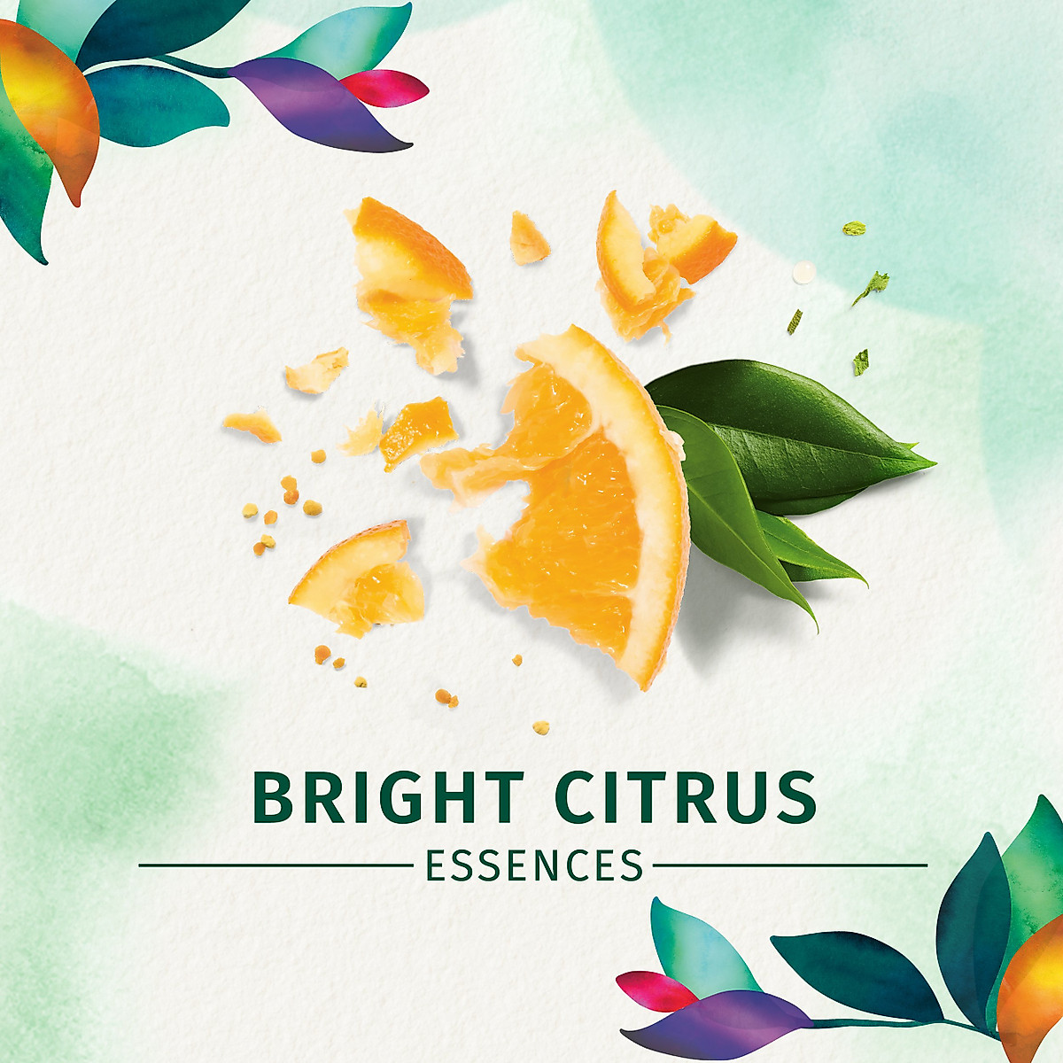 Herbal Essences Body Envy Volumizing Conditioner with Essences, Citrus, 10.1 Fl Oz (Pack of 1)