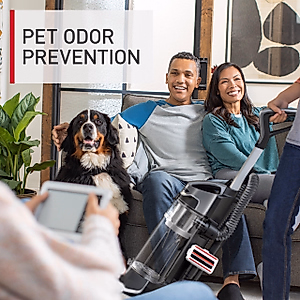 Hoover MAXLife Elite Swivel XL Pet Vacuum Cleaner with HEPA Media Filtration, Bagless Multi-Surface Upright for Carpets and Hard Floors, UH75250, Grey, 16 lbs