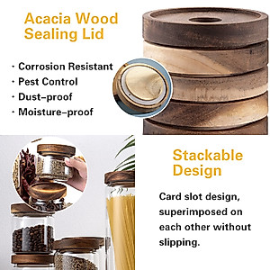 MOLADRI 960ML/32Oz Clear Cute Glass Storage Canister Holder with Stackable Airtight Wood Lid, Modern Decorative Container Jar for Coffee, Spice, Candy, Salt, Cookie, Condiment, Pepper, Sugar