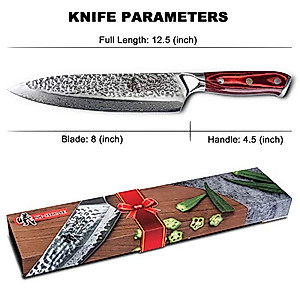 Hammered Damascus Chef Knife, 8" Pakka Wood Handle 67-layer Full Tang Damascus Kitchen Knife with Professional Japanese VG10 Super Steel Core