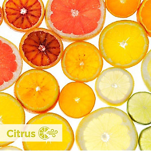 ActiveAire Low-Splash Deodorizer Urinal Screen by GP PRO (Georgia-Pacific); Citrus; 48265; 12 Screens Per Case