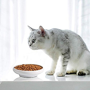ComSaf Cat Food Water Bowl, Wide Shallow Ceramic Cat Dish, Non Spill Pet Bowl,10oz, Pack of 2