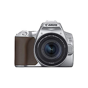 Canon EOS 250D (Rebel SL3) DSLR Camera w/ 18-55mm is STM Lens (Silver) (International Model) (Renewed)