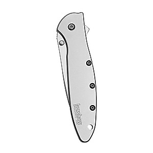 Kershaw Leek Serrated EDC Pocketknife, 3" Sandvik 14C28N Steel Blade, assisted opening Folding Knife, Dual Lock System