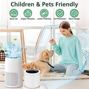 AP100-A/B Replacement Filter Compatible with AromaRoom AP100-A / AP100-B Pet Air Purifi-ers, 3-IN-1 H13 True HEPA and Activated Carbon Filter, Perfect Fit and Long Life for AP100-A/B, 2 Pack, White