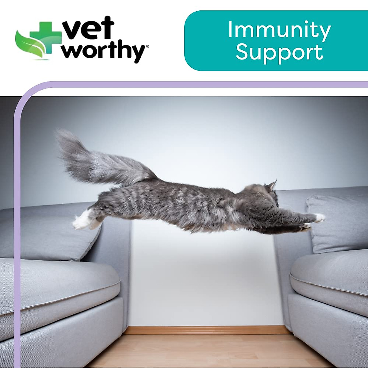 Vet Worthy Lysine Paw Gel Aid for Cats - Cat Paw Gel to Support The Immune System and Overall Health - Cat Supplement with Amino Acid L-Lysine- Salmon Flavor Gel, 3oz