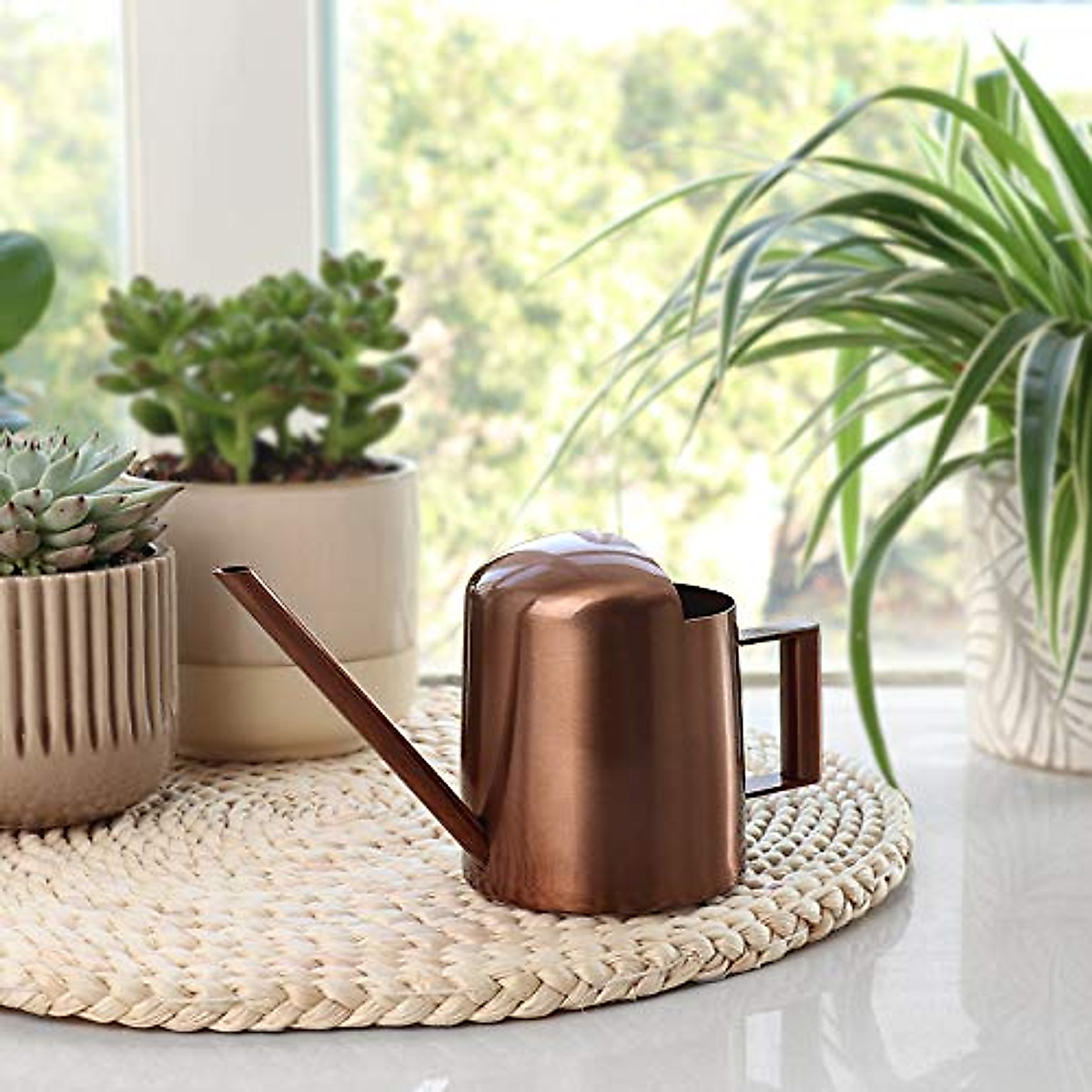 Watering Cans, 10oz/300ml Stainless Steel Long Spout Small Watering Sprinkling Pot, Indoor Outdoor Garden Flower Succulents Plant Watering Cans, Stylish Gardening Decoration(Bronze)
