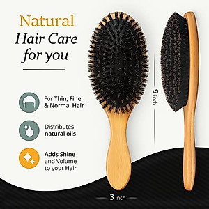 Belula 100% Boar Bristle Hair Brush for Men Set. Soft Hairbrush for Thin, Normal and Short Hair. Boar Bristle Brush and Wooden Comb for Men. Free 2 x Palm Brush & Travel Bag Included.