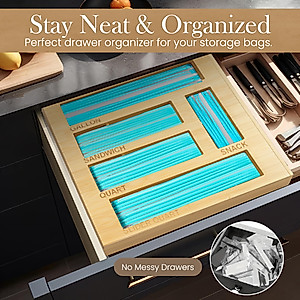 Bamboo Bag Storage Organizer + Bonus: 5 Reusable Bags and Labeling Stickers - Food Kitchen Pantry Holder for Bags, Baggies, and Storage Drawers