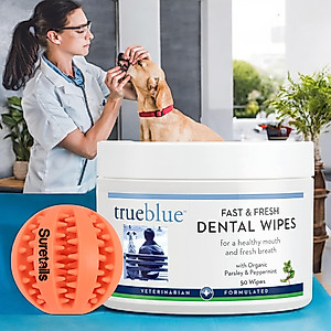 Suretails Dental Dog Wipes, 50 Wipes, Freshen Breath & Reduce Plaque with Parsley & Peppermint, Easy Oral Care, 50 Pads Teeth Cleaning Chew Ball, Non-Toxic, All Breeds [Pack of 2]