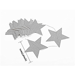 Fecedy Sparkling Star Garland Bunting for Birthday Wedding Engagement Bridal Shower Baby Shower Bachelorette Holiday Celebration Party Decorations 13 feet (Silver)