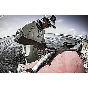 Gerber Gear Controller - Saltwater Fishing Fillet Knife for Fishing Gear - Cyan, 8 Inches