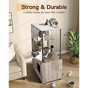 Self Cleaning Cat Litter Box, Automatic Litter Box Wi-Fi Enabled Smart Robort with 24H App Remote Control, Low Noise, Odor Removal, 78L Large Space for Multiple Cats