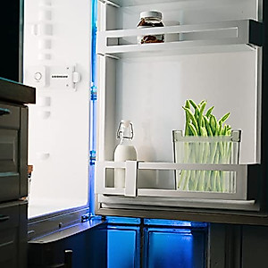 Fridge Organizer Bin 2pcs Refrigerator Organizer Bins: Plastic Storage Bins Food Storage Containers Fridge Trays Egg Organizer For Organizing Kitchen Food Snack Pantry Cabinet