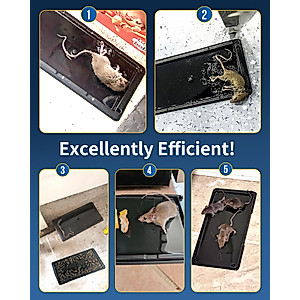 OSVDO Rat Trap, Large Chipmunk Traps, Mouse Glue Traps for Indoor, Super Strong Adhesive Mouse Boards for Mouse Rat Chipmunk, Easy Set Up and Clean - 4 Pack Black Boards