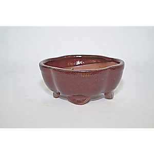 Bonsai Ceramic Pot 5" Lotus Shape, Burgundy Color with draining Holes.