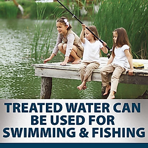 Airmax Nature's Blue Pond Dye Plus with PondClear Beneficial Bacteria, Cleans & Clears Water, Safe for The Environment - 1 Gallon