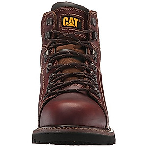 Cat Footwear Men's Alaska 2.0 / Brown Industrial & Construction Shoe, 9