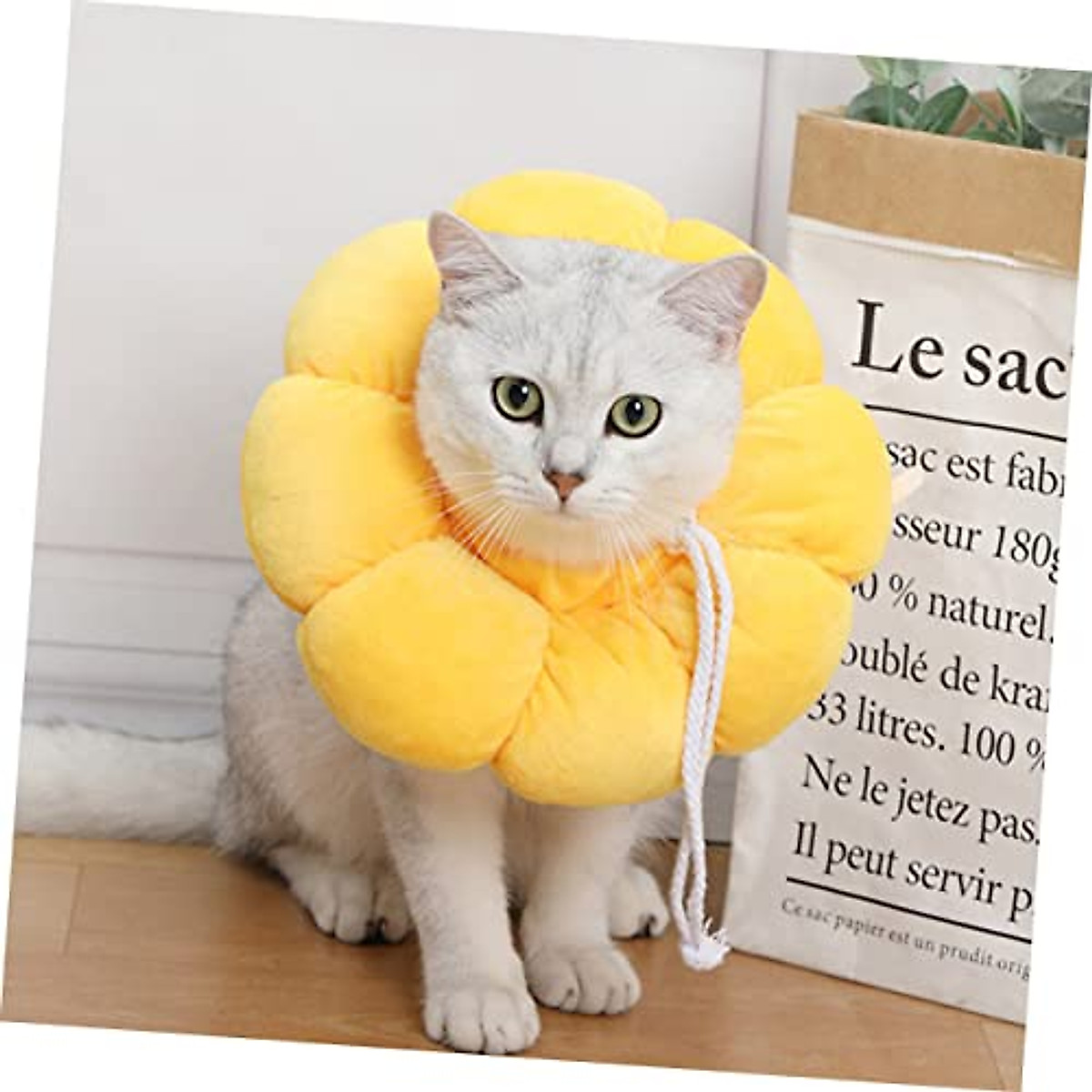 DOITOOL 3pcs Elizabeth Circle Surgery Protective Collar Cat Cone Collar Soft Cat Recovery Neck Cone Puppy Collars for Small Puppies Puppy Cone Puppies Collars Kitten Cat Headgear Pp Cotton