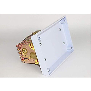 Educational Model Human Anatomy Skin Tissue Structure Enlarged Model Skin Hierarchy Model Simulation Stereo Skin Model Block for Medical Education Teaching Plastic Surgery