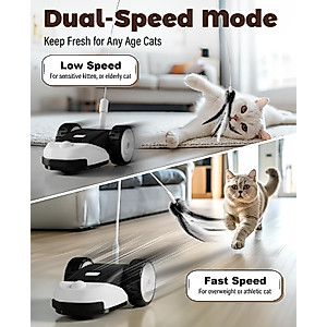 CYROS 3-in-1 Interactive Cat Toy - 2-Speed Automatic Moving Mouse Cat Toys Self Play with 2pcs Hanging Feather String Ribbon and Wiggly Silicone Mice Tail for Bored Indoor Adult Cats Kittens