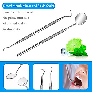 SENLMLER Dental Tools, Professional Plaque Remover Teeth Cleaning Tool Kit, Stainless Steel Dental Pick Tartar Scraper Tooth Cleaner, Oral Care Hygiene Set for Dentist Personal Pets with Storage Box