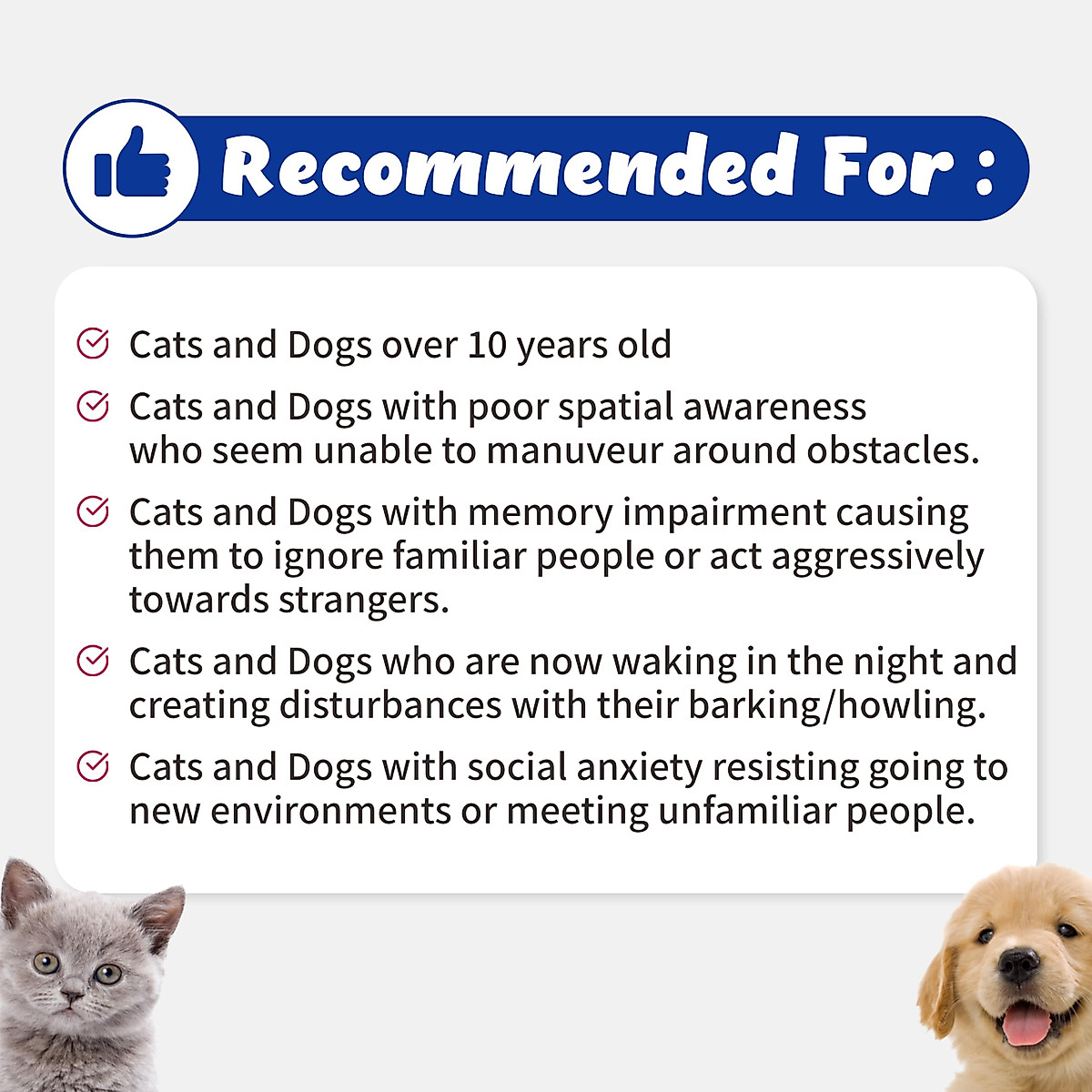 Branvine Recogry Liquid Cognitive Disorder and Brain Support for Dogs and Cats with Astaxanthin, Phosphatidylserine, Alpha GPC, DHA, Olive, Coconut, Sage, Turmeric, Ginger (90ml)