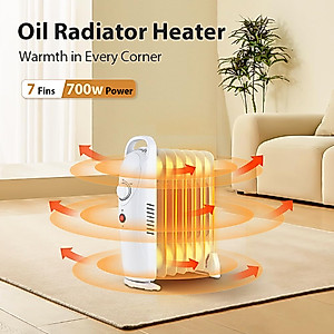 LifePlus Oil Filled Heater, Portable Radiant Space Heater with Energy Saving, Overheat Safety, 700W Small Space Heater Quiet Work for Bedroom, Indoor use (White)