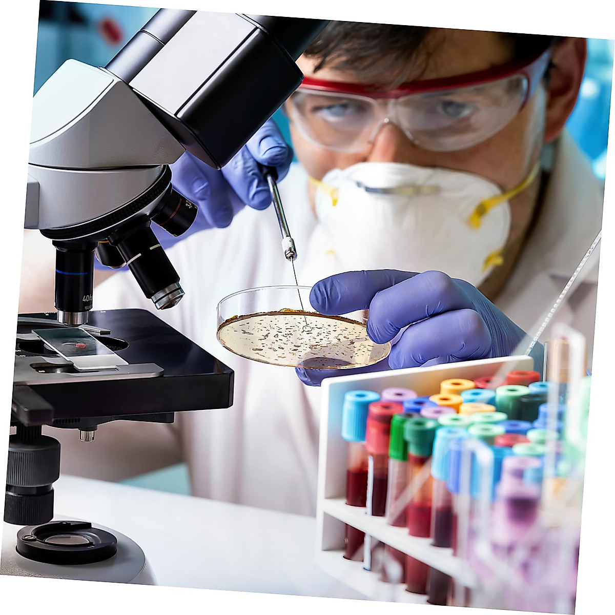 Healeved Prepoured Agar Plates 10pcs 7cm Agar Petri Dishes Science Experiment Supplies for Mushroom Cultivation and Science Fair Projects