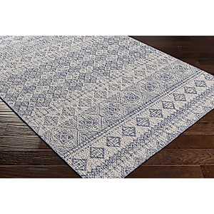 BoutiqueRugs Tominhao Bohemian, Transitional Area Rug - Outdoor Safe - Pale Blue, Tan, Navy - 7'10" x 10'