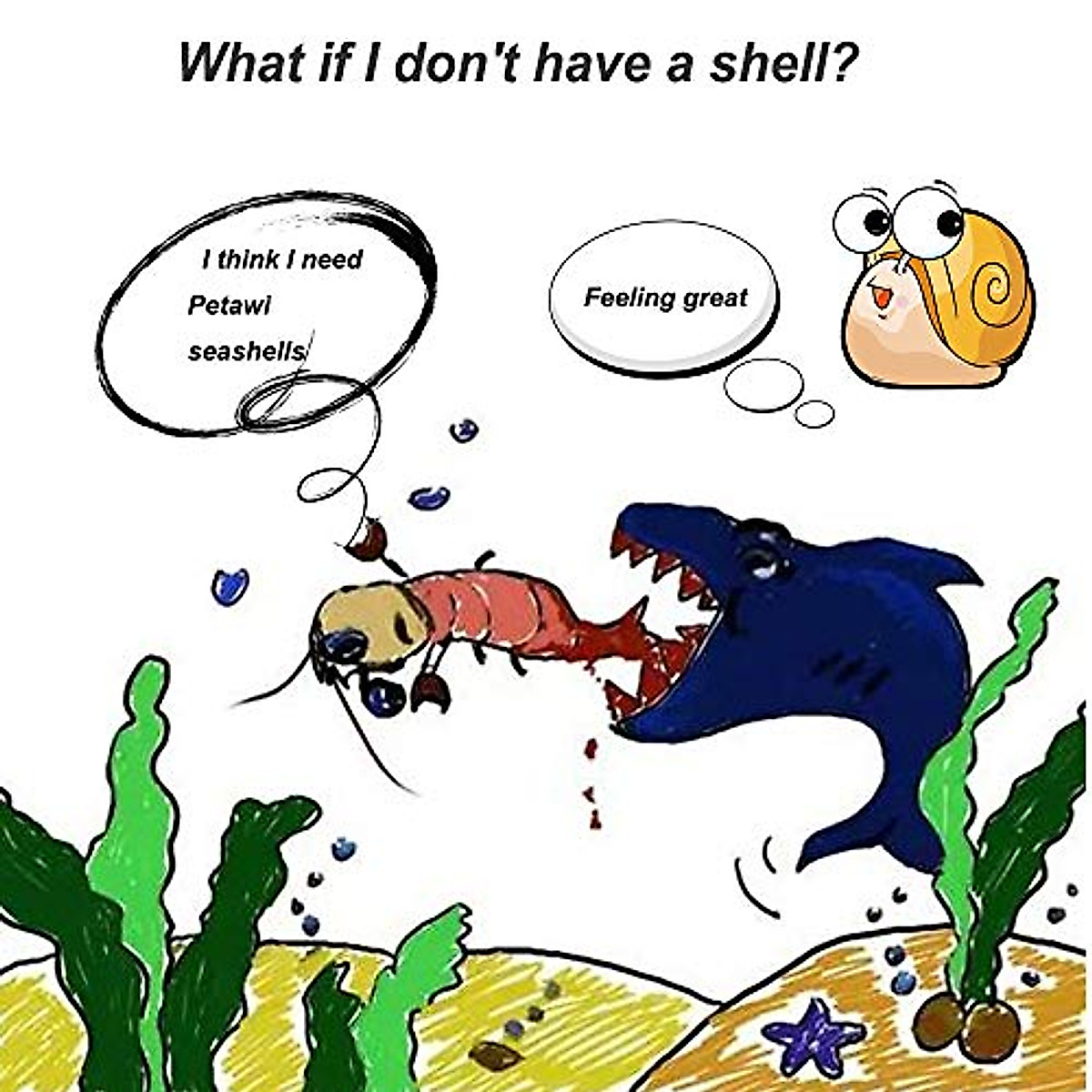 Petawi Hermit Crab Shells Large Medium XLarge Natural Growth Shells for Hermit Crab Variety Turbo Seashells Sea Conch No Painted Hermit Crab Supplies