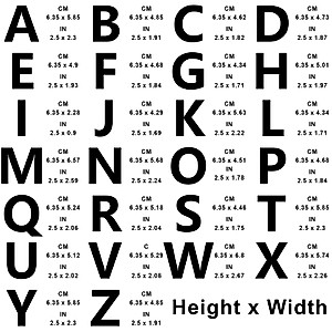 2Pcs Chenille Letter, 2.5" Iron on Letters Patches, Chenille Stitch Varsity Letter Patches for Clothing (White/Black 2-1/2, M)