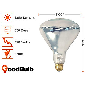 GoodBulb 25O-Watt Heat Lamp BR40 Light Bulbs | Incandescent Restaurant Bulb with E26 Medium Base | 2700K Warm White Light Color | 3250 Lumens (Pack of 10 Bulbs)
