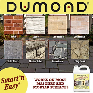 Smart 'n Easy Efflorescence Remover - Heavy Duty Professional Strength Formula - Removes The Toughest Salt, Calcium, and Magnesium Deposits from Concrete, Brick, Stucco, Pavers, & More - 1 Gallon