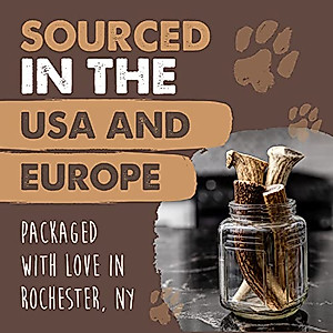 Mighty Paw Elk Antlers for Dogs | Medium Size 6" Premium Deer Antlers for Dogs, Pets and Puppies. Long Lasting Deer Antler Dog Chew for Aggressive Chewers. Dog Antler Chews for Large and XL Dog