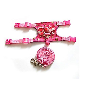 Wontee Small Pet Harness Vest and Leash Set with Bowknot and Bell Decor for Gerbil Guinea Pig Squirrel Kitten Outdoor Walking (S, Pink Star)