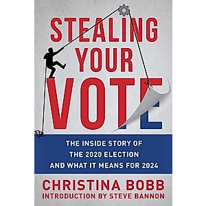 Stealing Your Vote: The Inside Story of the 2020 Election and What It Means for 2024