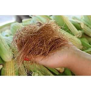 Yerbero - Te Herbal Barbas de Elote 2oz (56gr) Pelos De Elote Herbal Tea (Cornsilk Tea) Stand Up Resealable Bag Crafted By Nature100% All Natural Fresh Tea Tea | Non-GMO |Gluten-free.