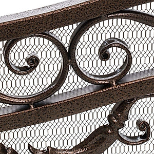 Christopher Knight Home Waterbury Fireplace Screen, Gold Flower On Black