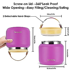 Insulated Food Jar,24 OZ Leakproof Soup Thermos for Adults with 2 Detachable Handles,Stainless Steel Wide Mouth Vacuum Thermal Insulated Food Container for Hot & Cold Food with Portable Lid(Rose Pink)