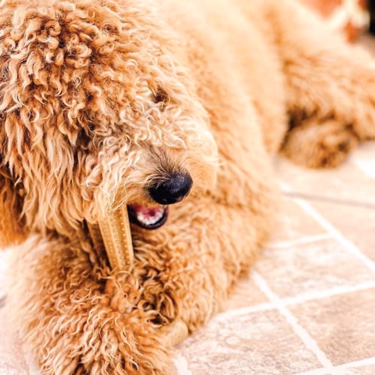 SPOT by Ethical Products 4 in Bambone Plus Easy Grip Peanut Butter, Beef & Chicken Dog Chew Bundle - Bamboo & Nylon Anti Anxiety Bone for Aggressive Chewers & Dental Health for Dogs - Small (4 Pack)