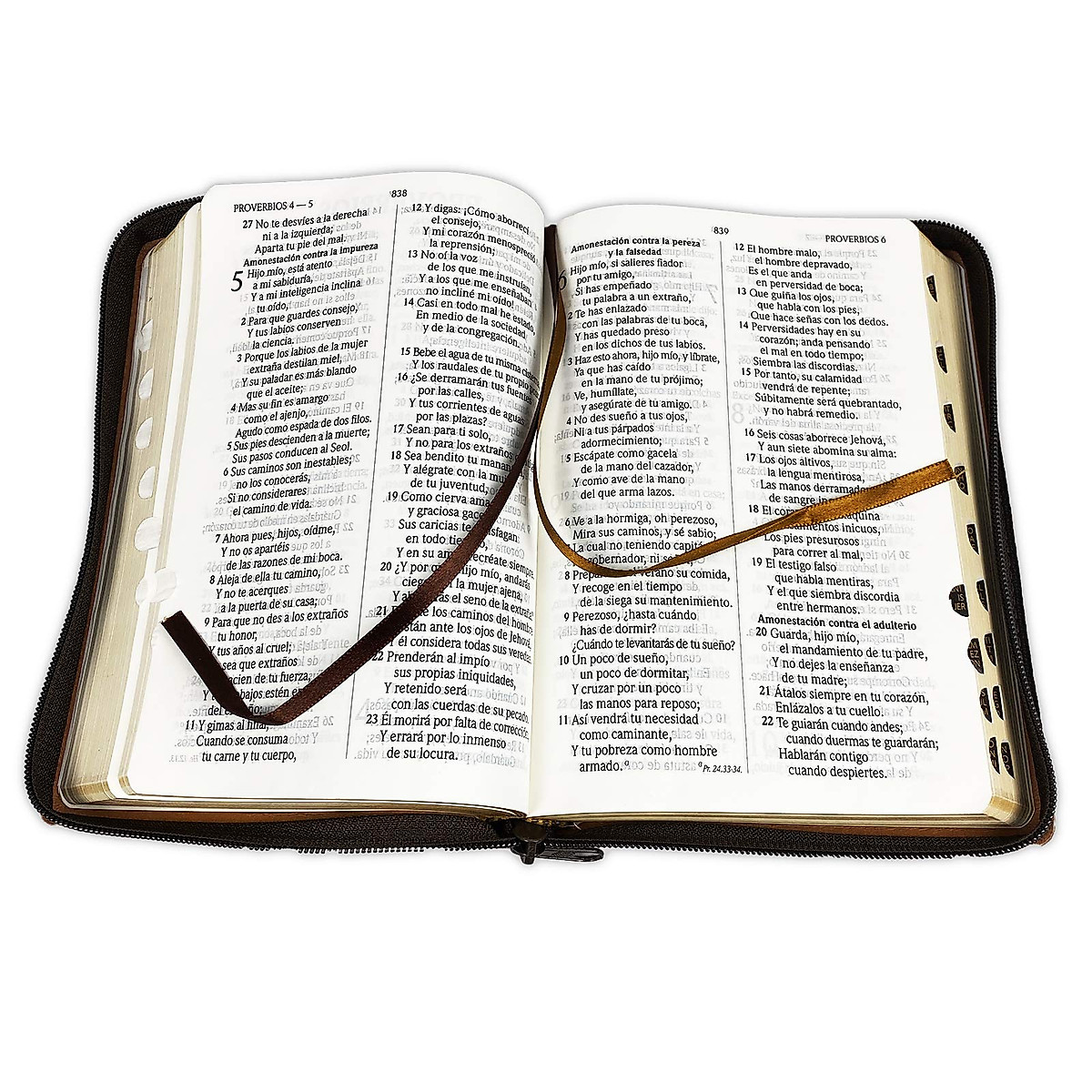 Biblia Letra Grande Manual de 12 puntos con Cierre y Concordancia Amplia Reina Valera 1960 marron con indice