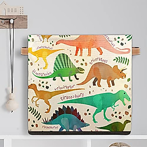 Dinosaur Pattern Storage Basket Bins for Organizing Pantry/Shelves/Office/Girls Room, Cute Animal Storage Cube Box with Handles Collapsible Toys Organizer 13x13