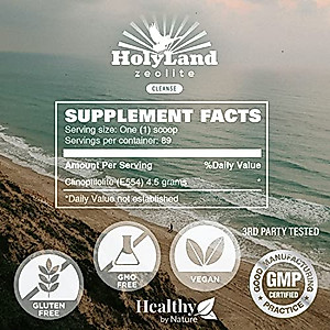 HolyLand Zeolite Cleanse | Zeolite Detox Powder (400 Gram Value Size) | Natural, Activated Clinoptilolite - Supports Energy, Mental Focus, pH Balance, Immune Defense, & Optimal Gut Health
